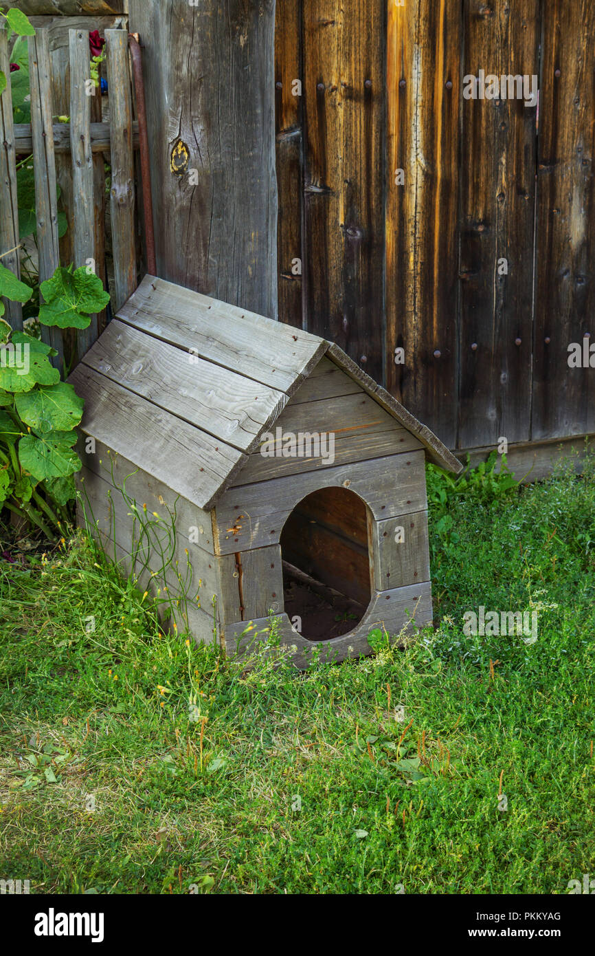 Dog in front hut in hi-res stock photography and images - Alamy