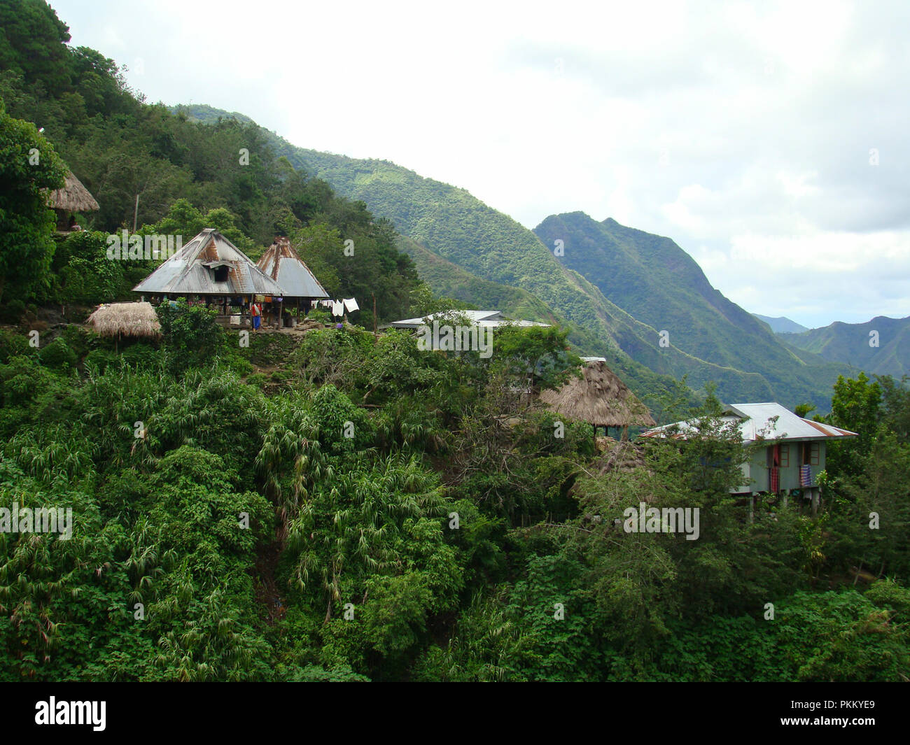 Sustainable Development Goals: forested slopes and terraced paddy ...