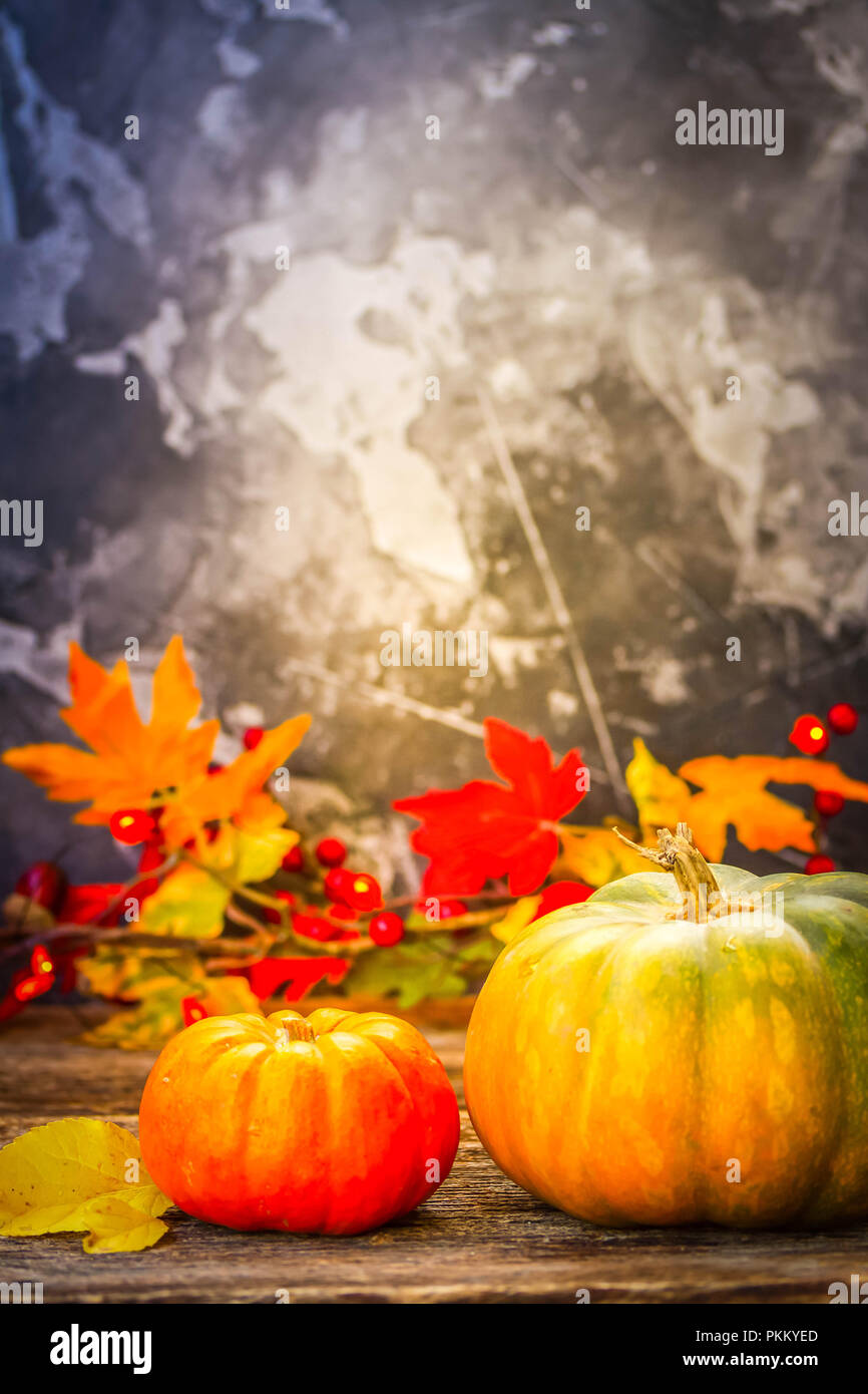 Fall harvest of pumpkins Stock Photo - Alamy