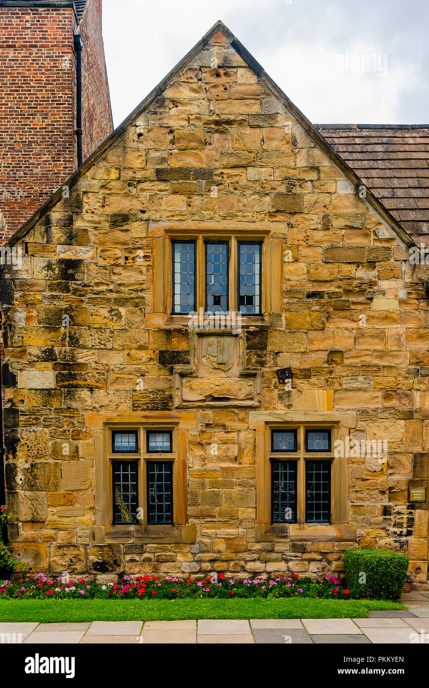 Tertiary study hi-res stock photography and images - Alamy