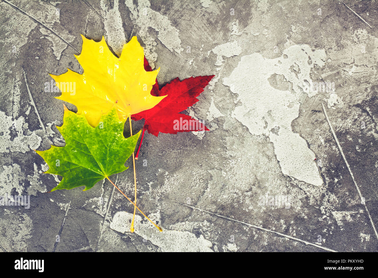 Natural fall leaves Stock Photo - Alamy