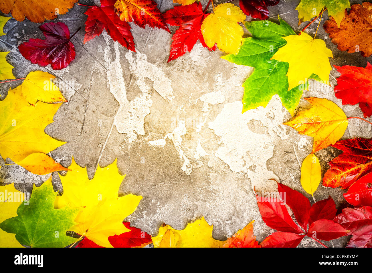 Natural fall leaves Stock Photo - Alamy