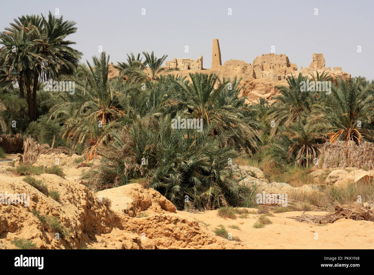 Temple of the Oracle of Ammon to Gebel el-Dakrour in Siwa, Egypt Stock ...