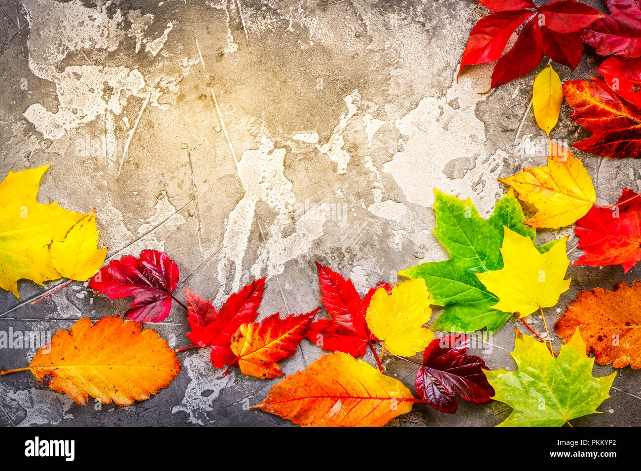 Natural fall leaves Stock Photo - Alamy