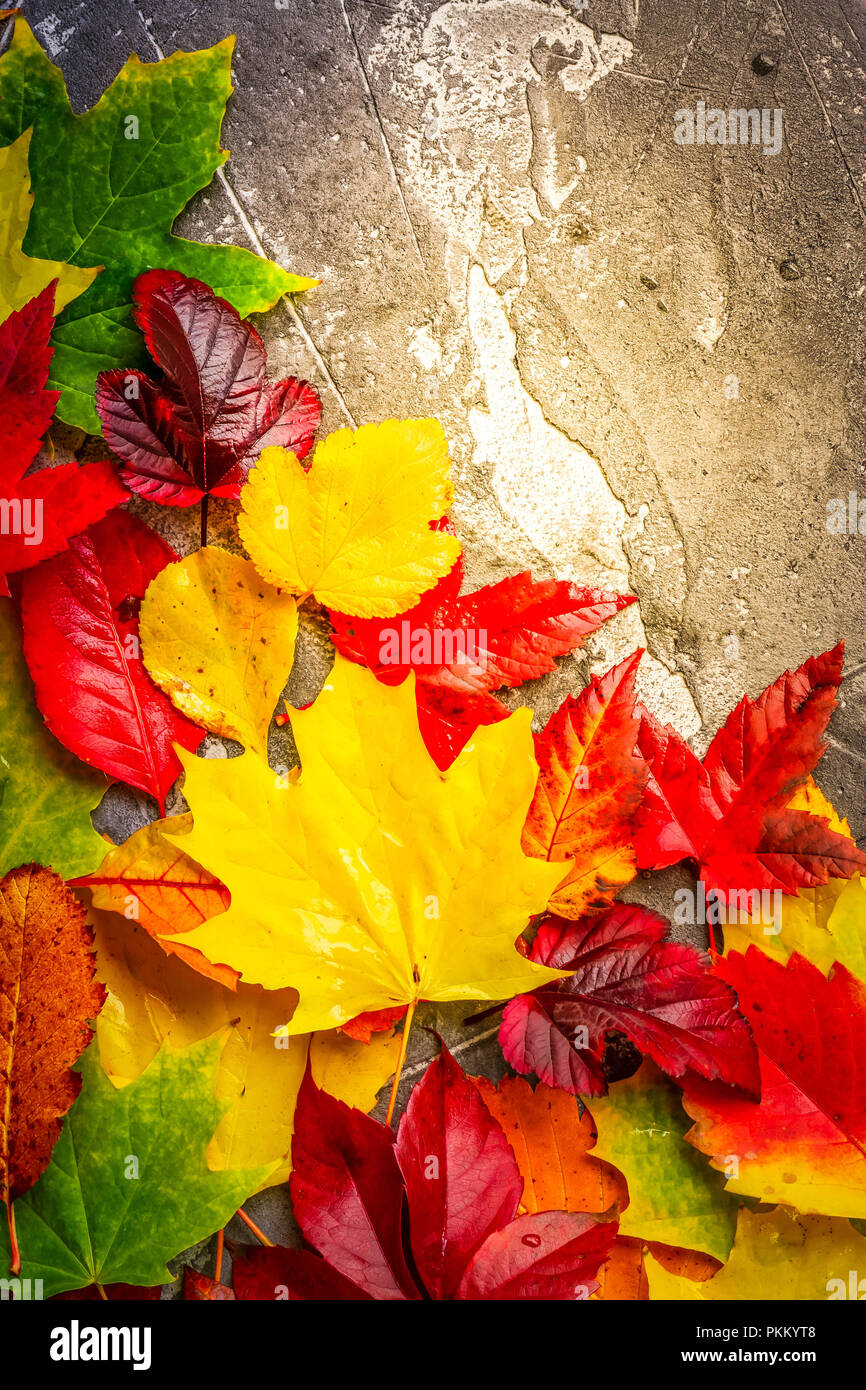 Natural fall leaves Stock Photo - Alamy