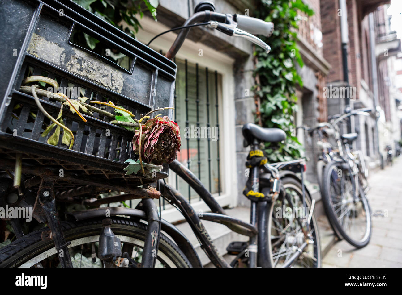 Bike usage in Amsterdam has grown by more than 40% in the last 20 years ...