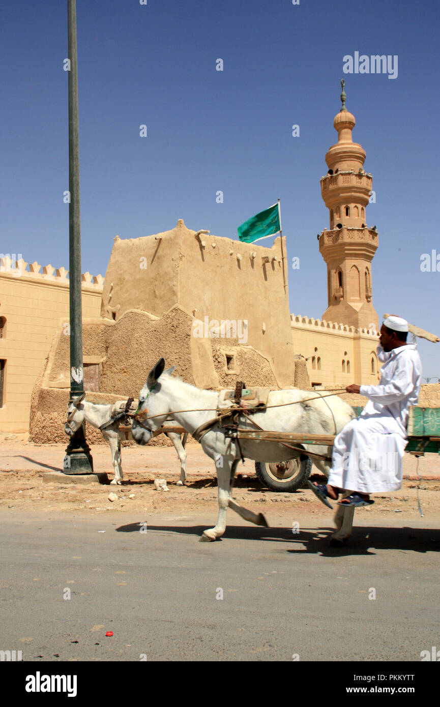 Donkey cart in front of a mosque in Siwa, Siwa Oasis, Egypt Stock Photo ...