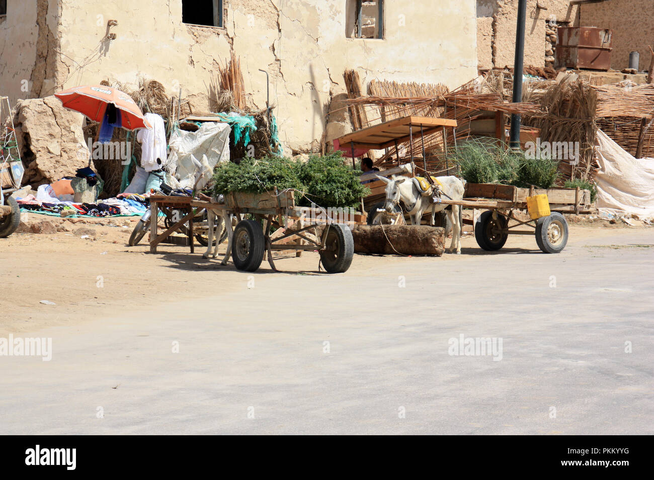 Donkey store factory hi-res stock photography and images - Alamy