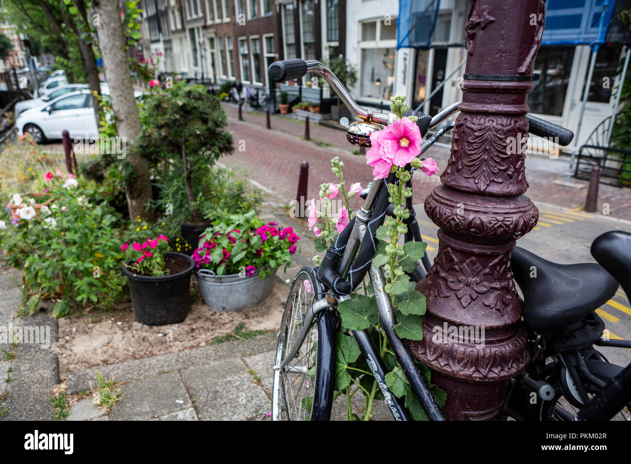 Bike usage in Amsterdam has grown by more than 40% in the last 20 years ...