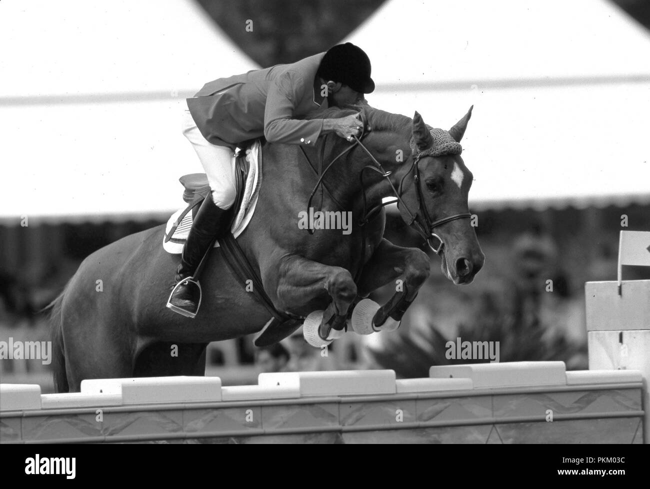 CSI Monterrey October 1998, Hap Hansen (USA) riding Amerika 7 Stock Photo - Alamy