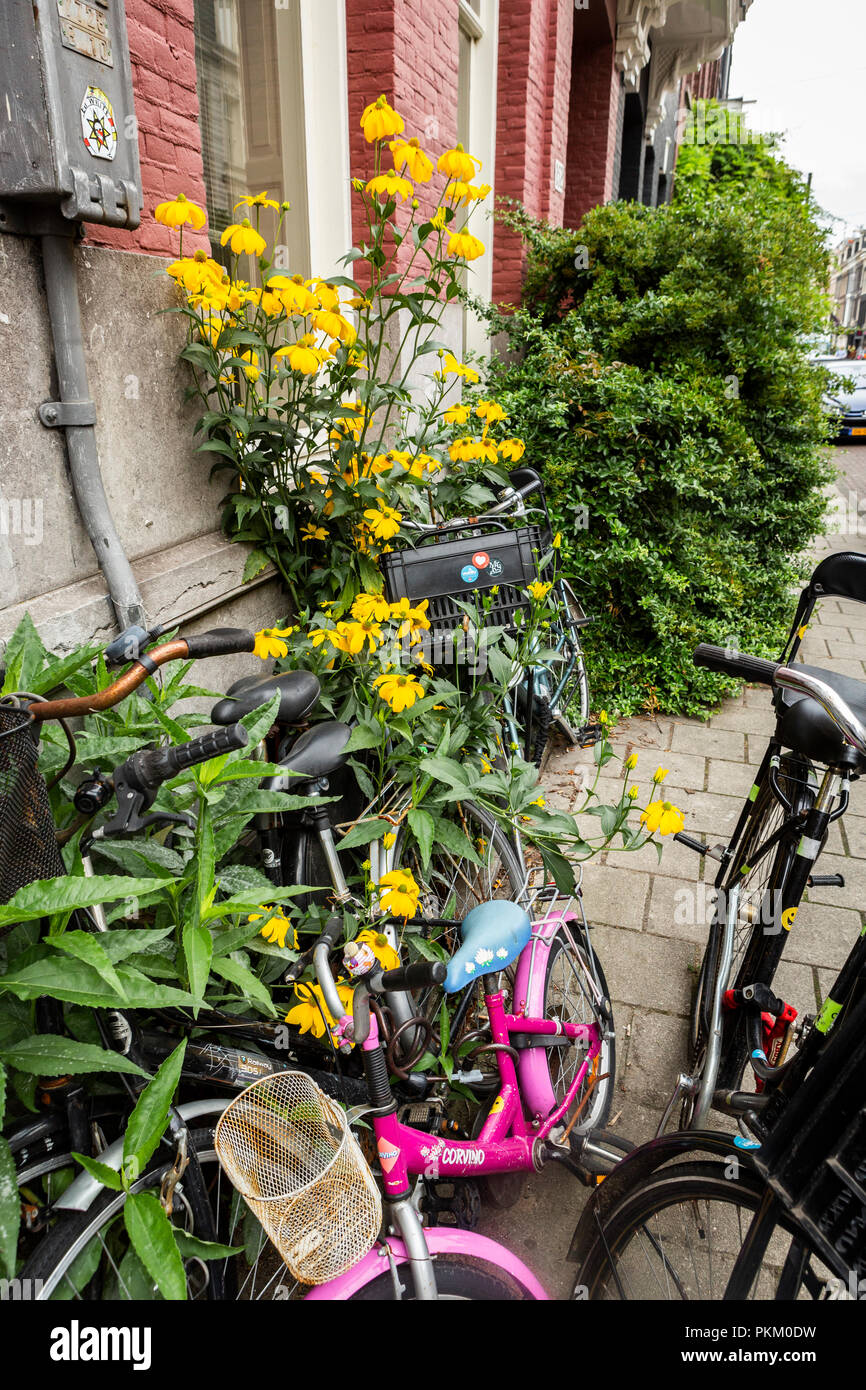 Bike usage in Amsterdam has grown by more than 40% in the last 20 years ...