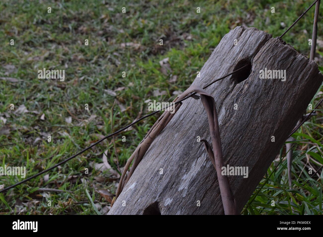 Old fence post falling down Stock Photo - Alamy