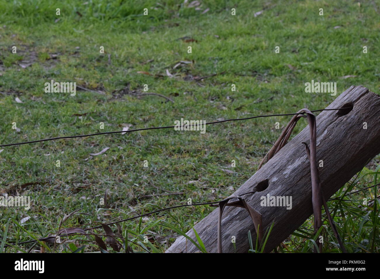 Old fence post falling down Stock Photo - Alamy