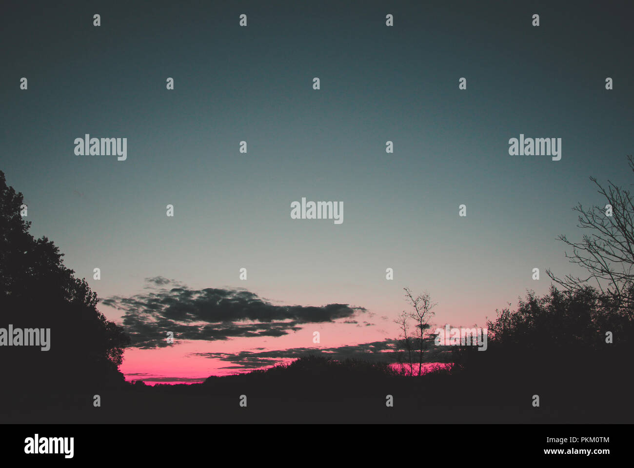 beautiful colourful sunset in nature reserve in Germany Stock Photo - Alamy