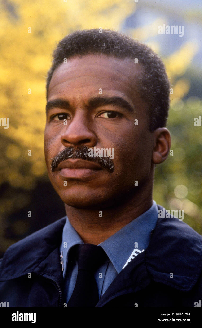 David Alan Grier Stock Photos & David Alan Grier Stock Images - Alamy