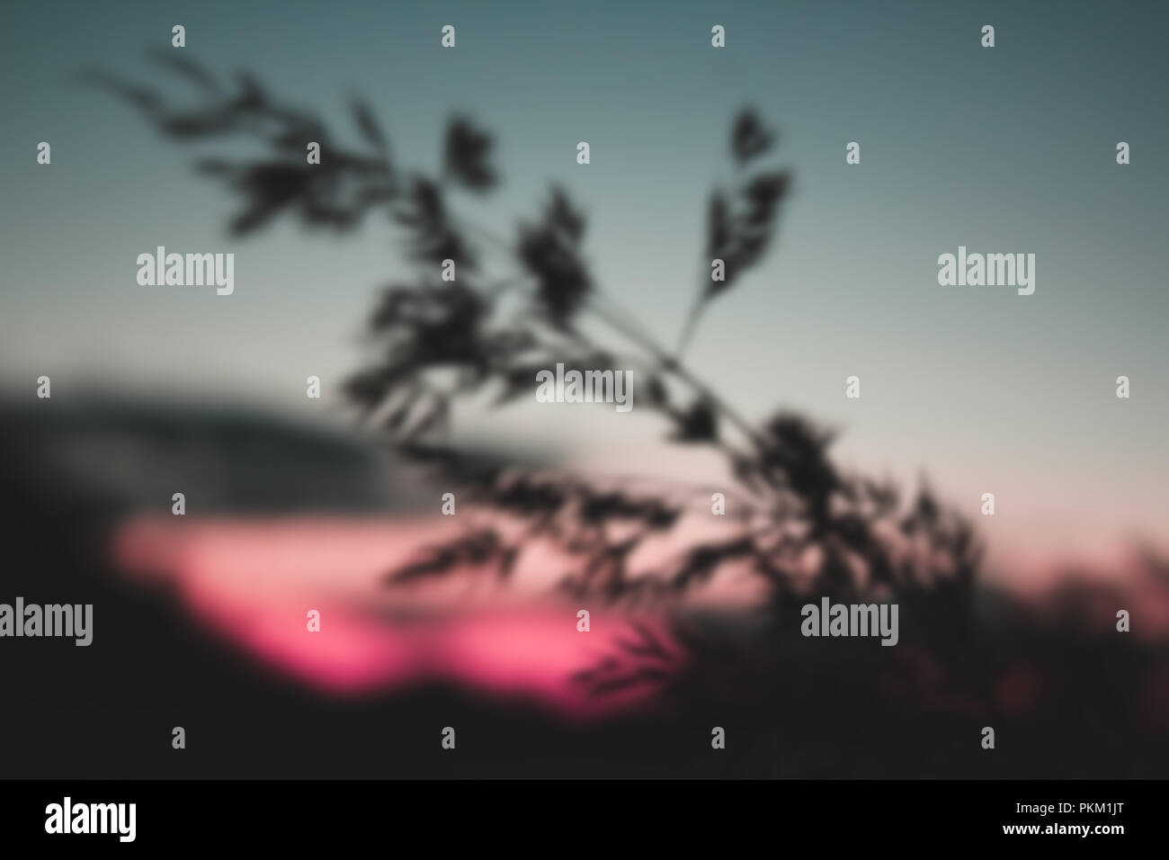 beautiful colourful sunset in nature reserve in Germany Stock Photo - Alamy