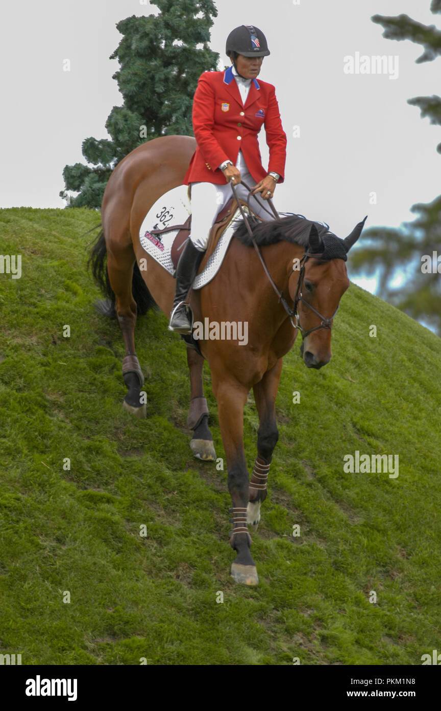 Rider galop horse hi-res stock photography and images - Alamy