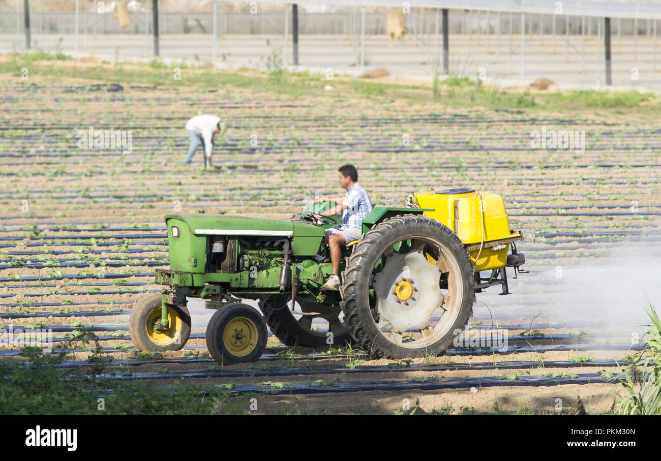Farmer spraying field insecticide hi-res stock photography and images ...