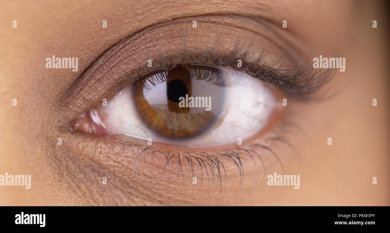 Closeup of Mexican woman's eye Stock Photo - Alamy
