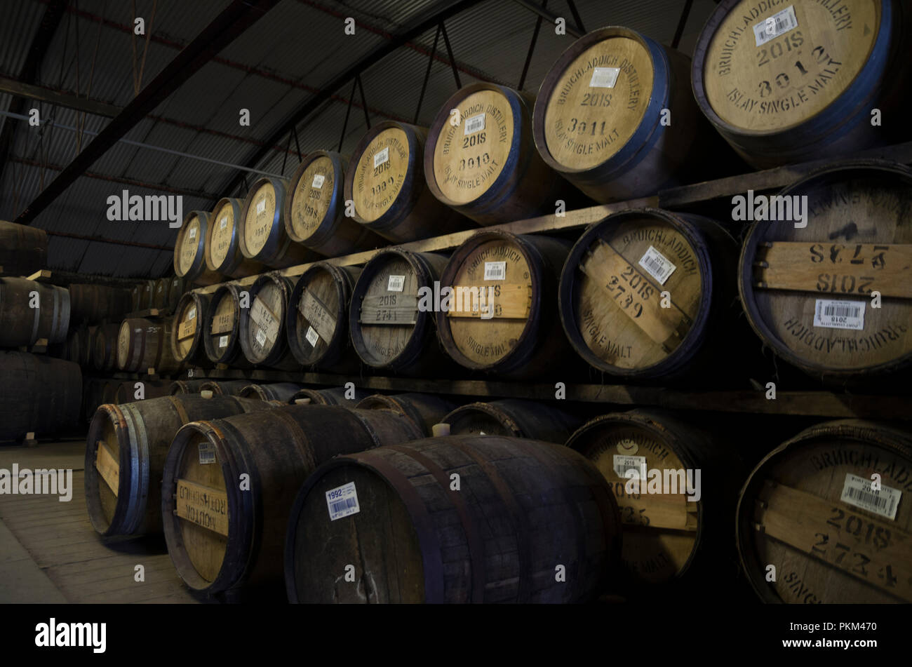 Oak Barrels of Whisky in Warehouse, Islay, Scotland, UK Stock Photo - Alamy