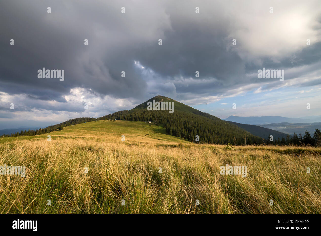Panoramic view of green grassy valley, pine trees and rural small ...