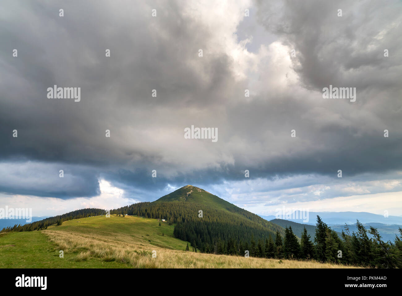 Panoramic view of green grassy valley, pine trees and rural small ...