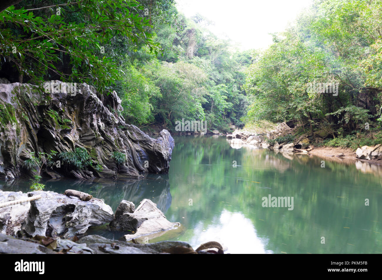 Beautiful natural river in green forest with mountain in background ...