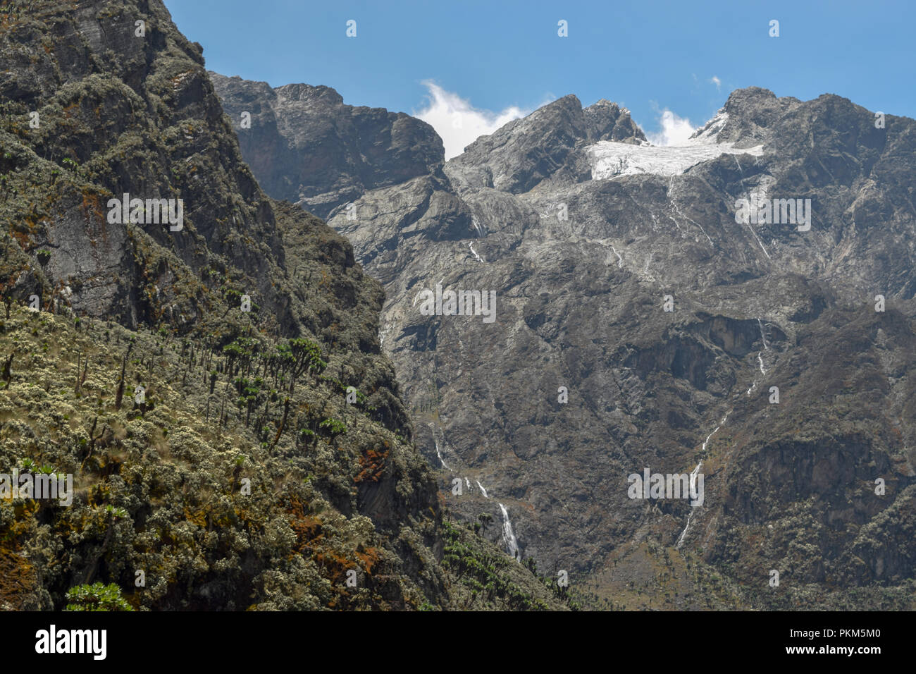 The glaciers on Mount Stanley, the highest mountain in the rwenzori ...