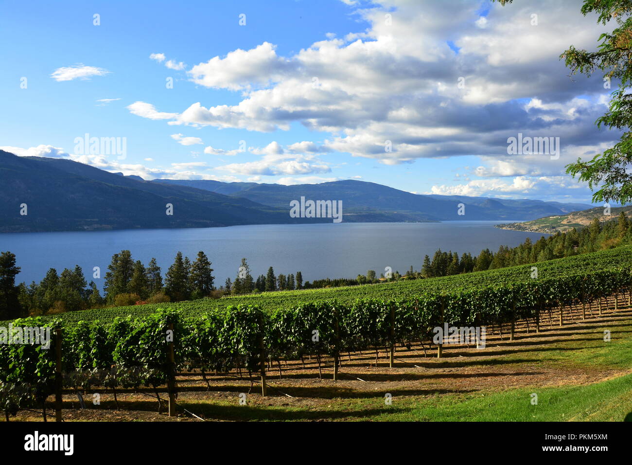 Photos of okanagan valley hi-res stock photography and images - Alamy