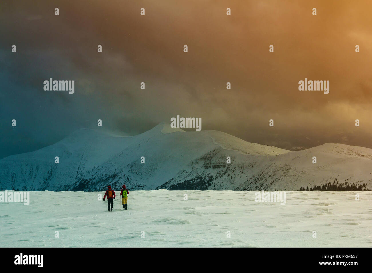 Winter panorama. Back view of two tourists hikers with backpacks going ...