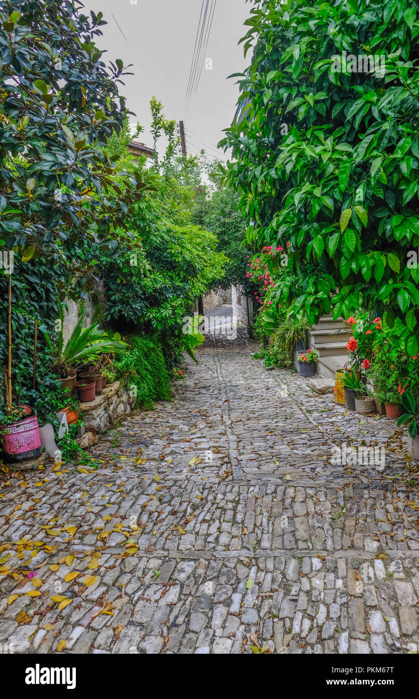 Typical narrow street in the village of Lania, Cyprus. Shows a cobbled ...