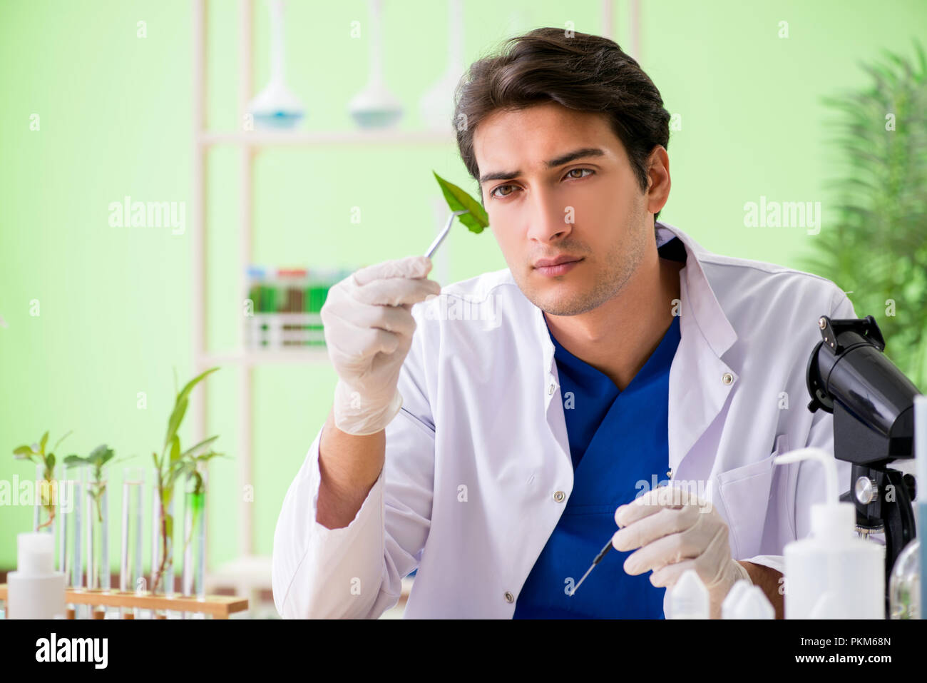 Young biotechnology scientist chemist working in lab Stock Photo - Alamy