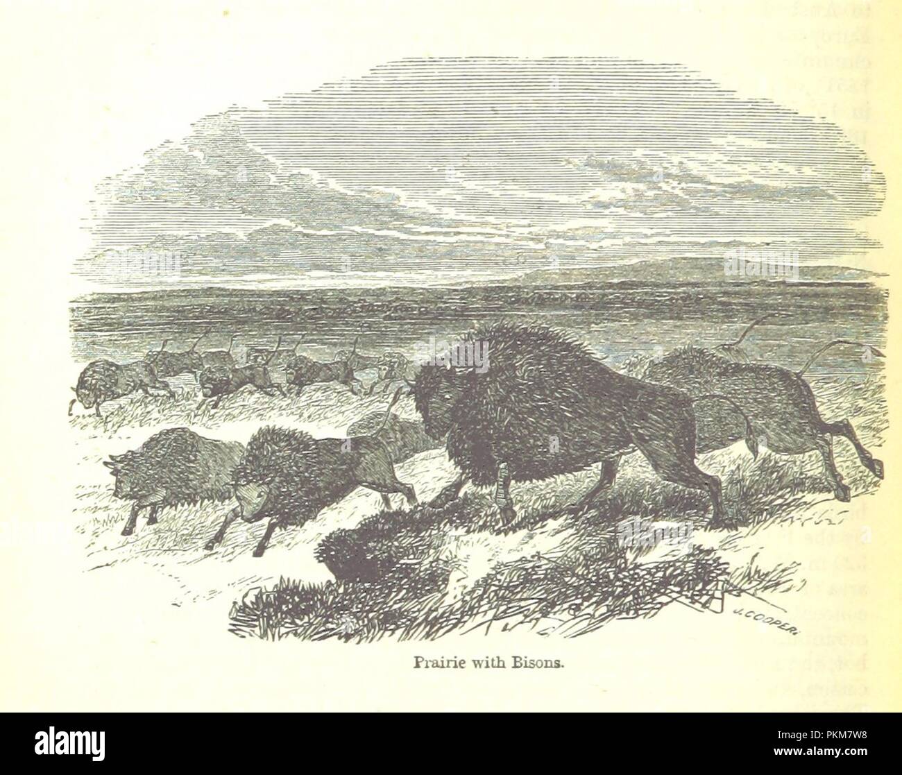 Image from page 520 of 'The Student's Manual of Modern Geography ...