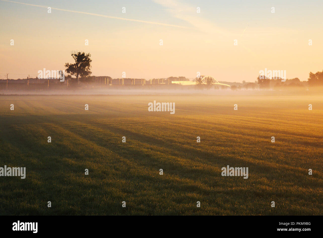Sunrise over a field with ground mist Stock Photo - Alamy
