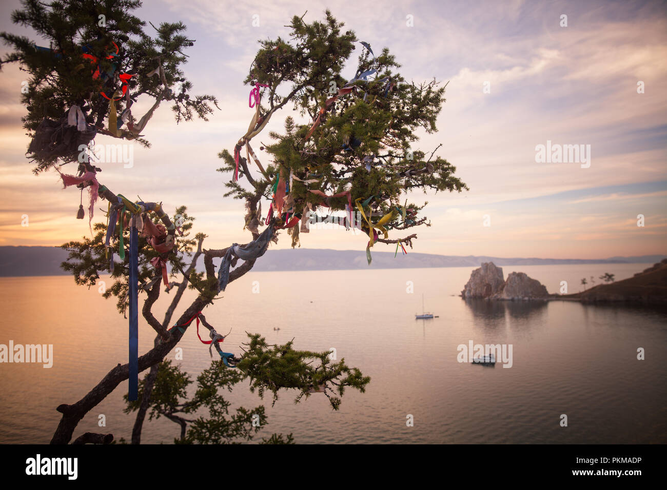 Shamanic tree hi-res stock photography and images - Alamy