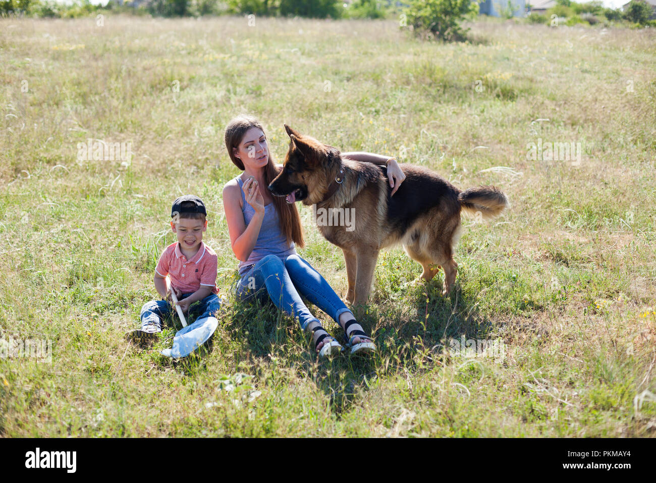 mom and son playing with dog sheepdog training Stock Photo - Alamy