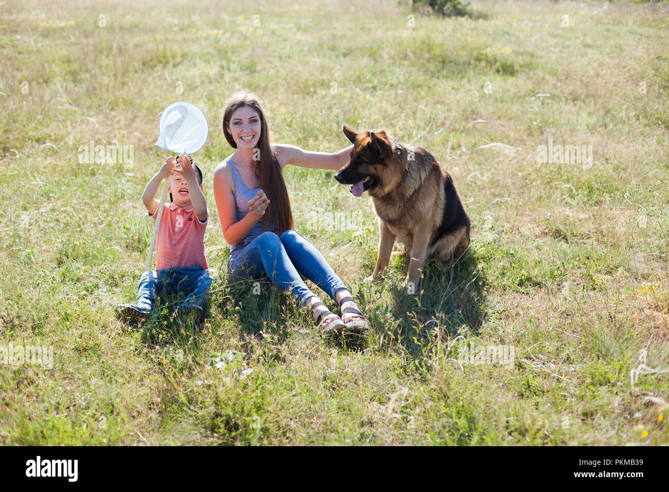 mom and son playing with dog sheepdog training Stock Photo - Alamy