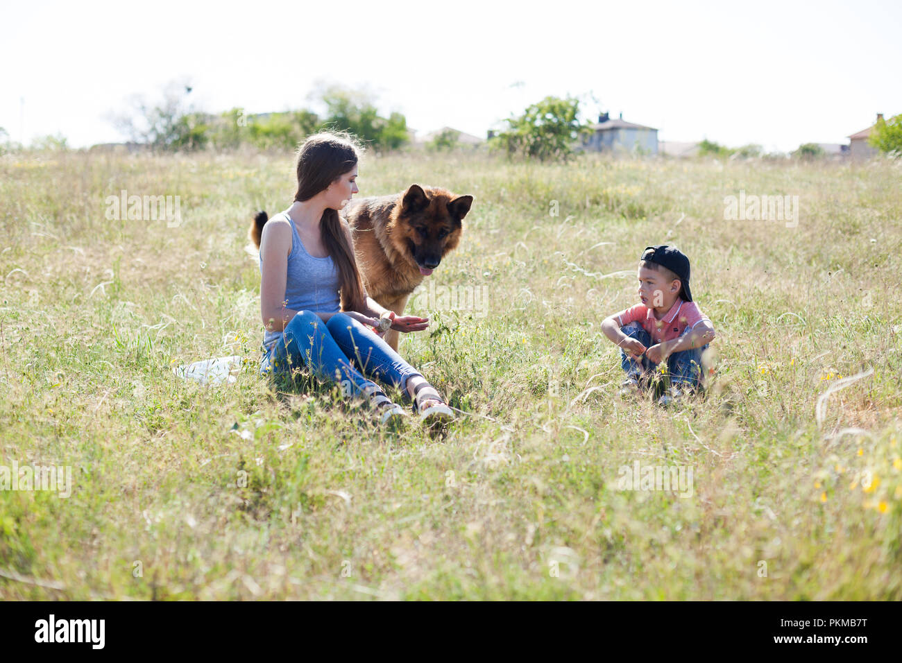 mom and son playing with dog sheepdog training Stock Photo - Alamy