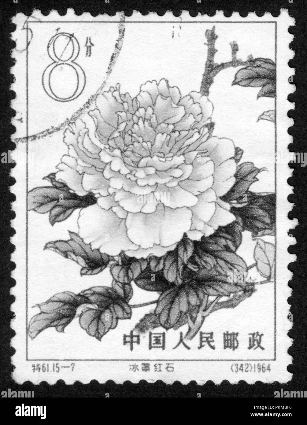 Old peony Black and White Stock Photos & Images - Alamy