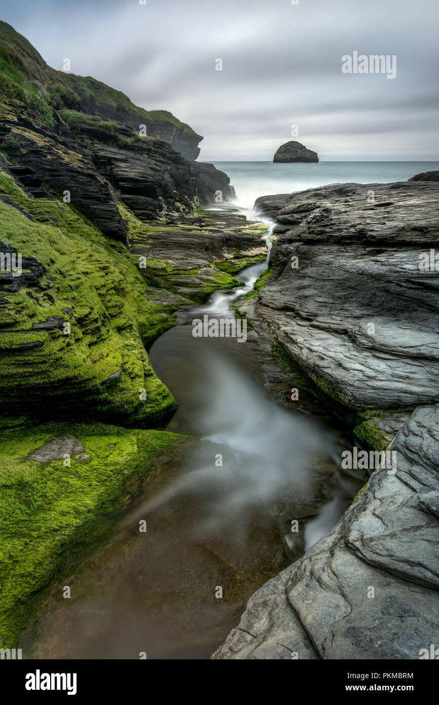 Rock gully, with vibrant green seaweed, Trebarwith Strand, Cornwall ...