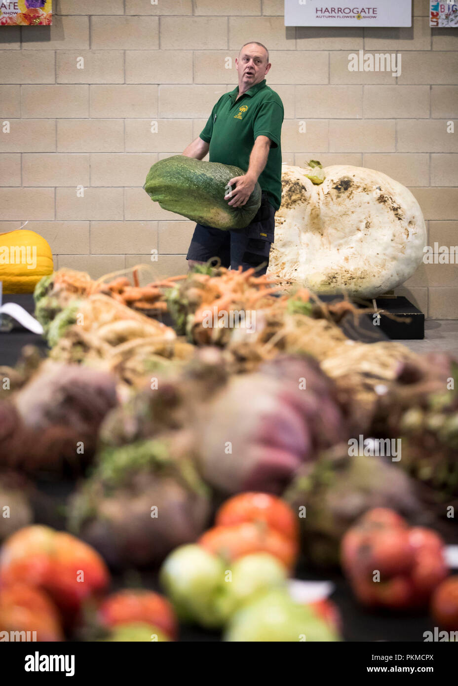 Judging takes place during the Giant Vegetable competition at the ...