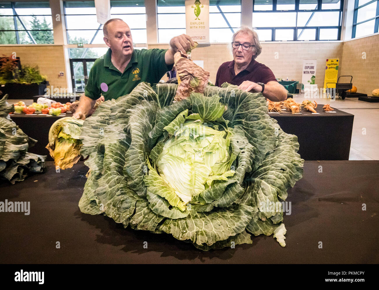 Judging takes place during the Giant Vegetable competition at the ...