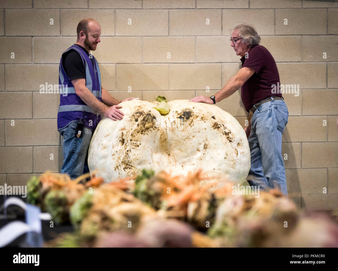 Judging takes place during the Giant Vegetable competition at the ...