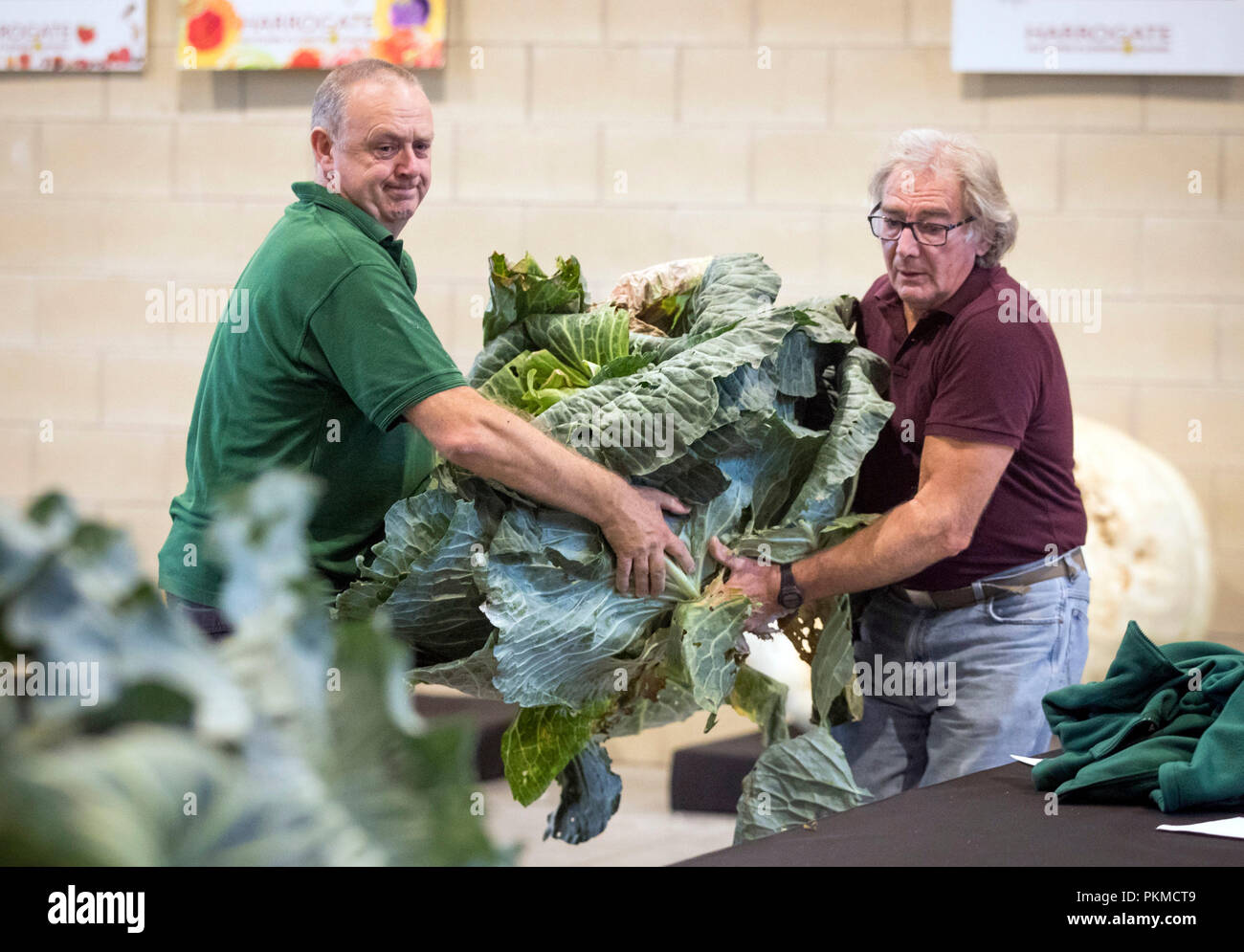 Judging takes place during the Giant Vegetable competition at the ...