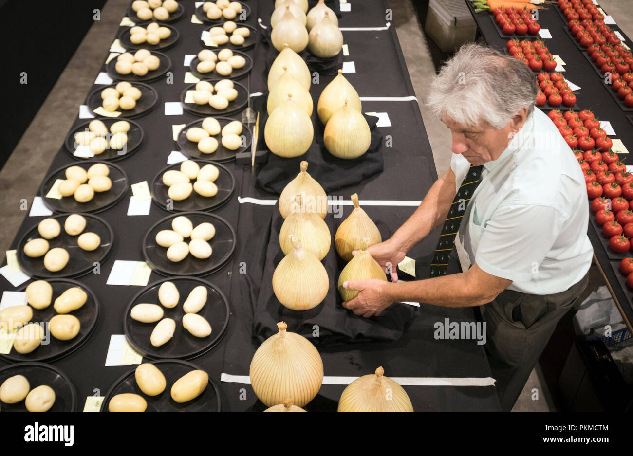 National vegetable show hi-res stock photography and images - Alamy