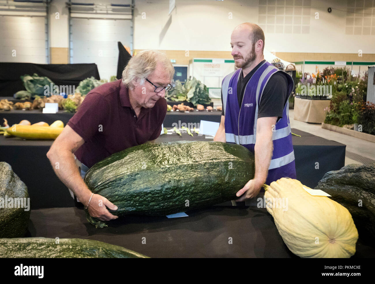 Judging takes place during the Giant Vegetable competition at the ...