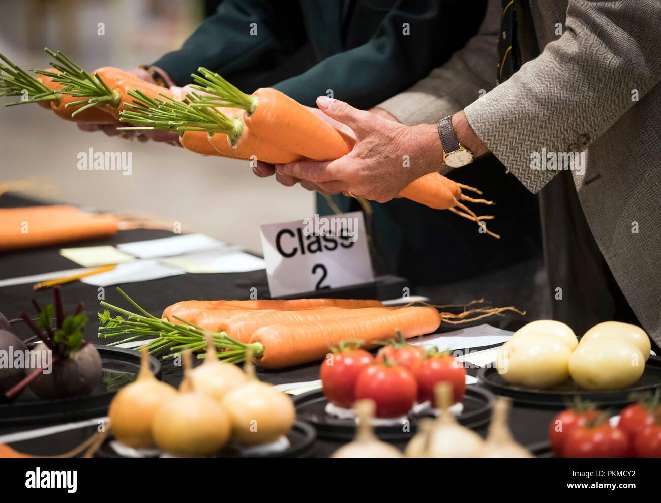 Judging takes place during the National Vegetable Society UK ...
