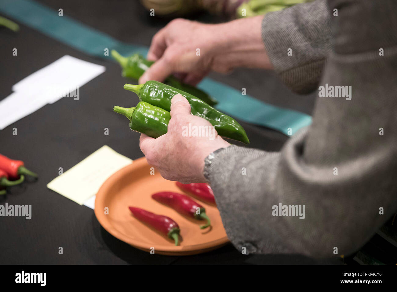 National vegetable society show hi-res stock photography and images - Alamy