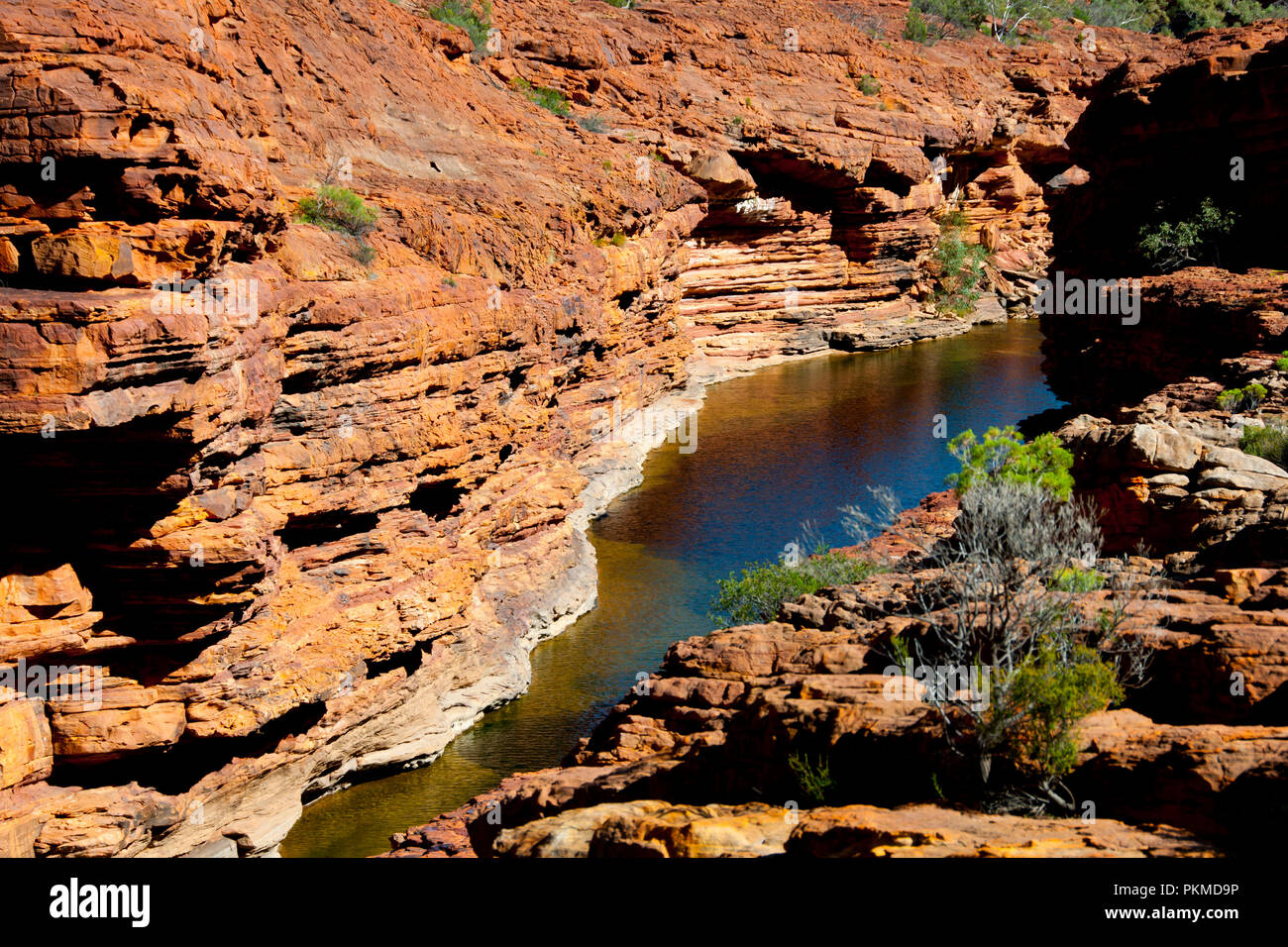 Murchison River Gorge - Kalbarri - Australia Stock Photo - Alamy