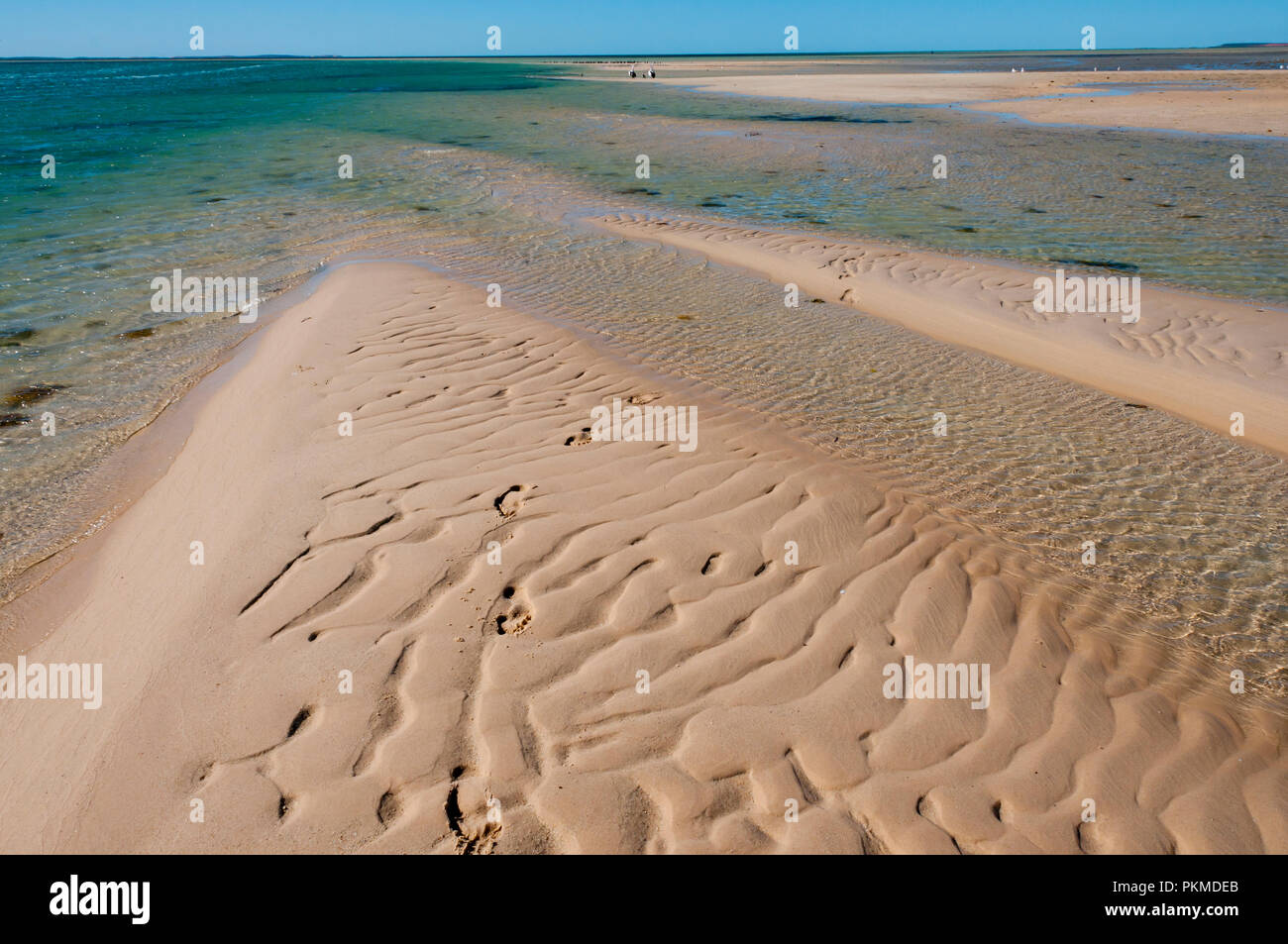 Beautiful sandbar hi-res stock photography and images - Alamy
